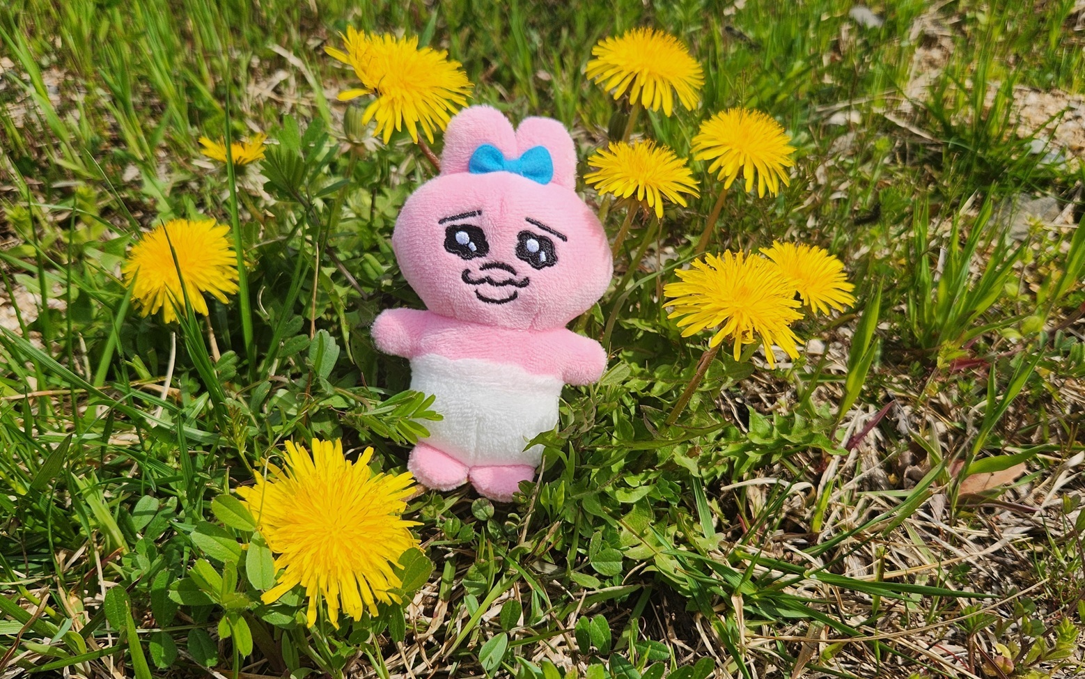 志津見ダムと自然に癒された一日ドライブ！！！: フィギュアおたくの道楽日記